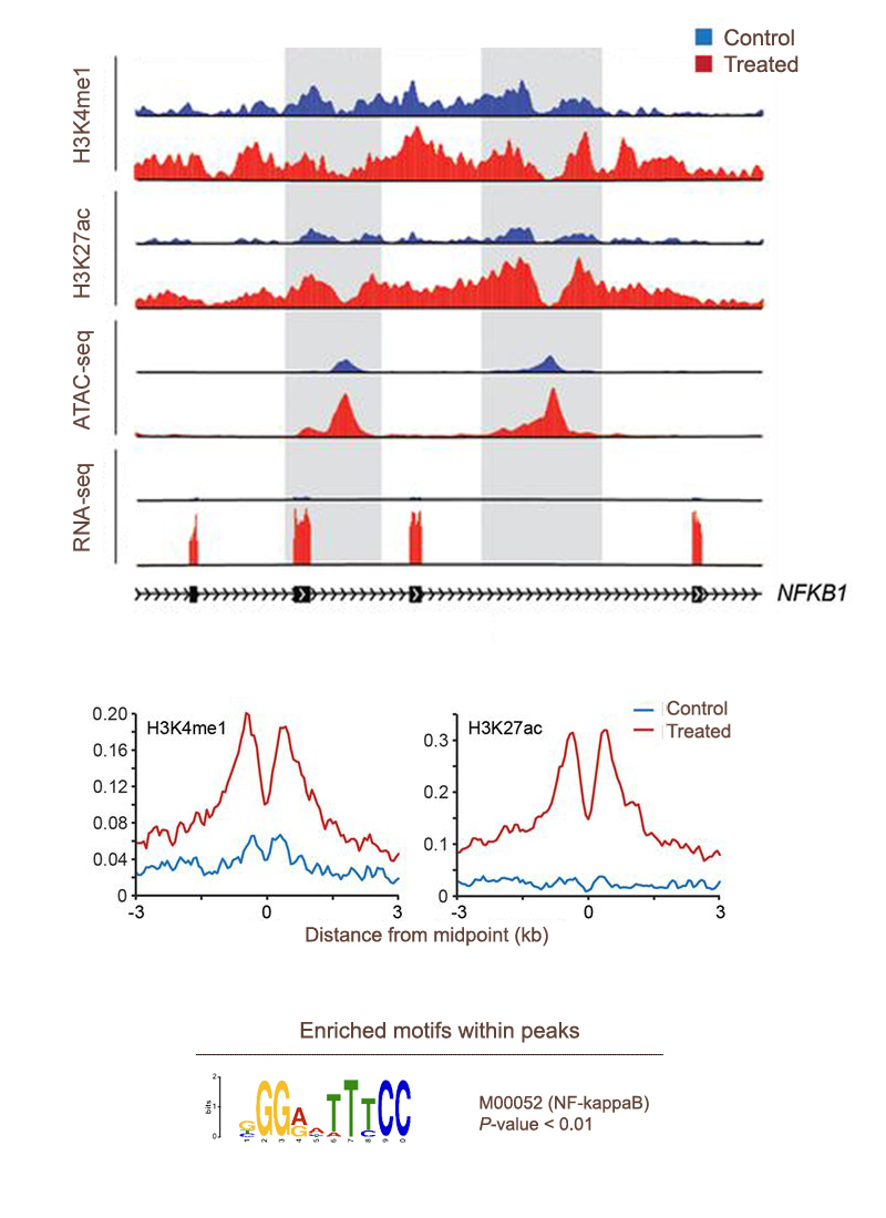 Services – Canadian Centre for Computational Genomics