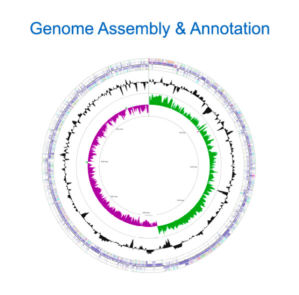 Canadian Centre for Computational Genomics – C3G Website